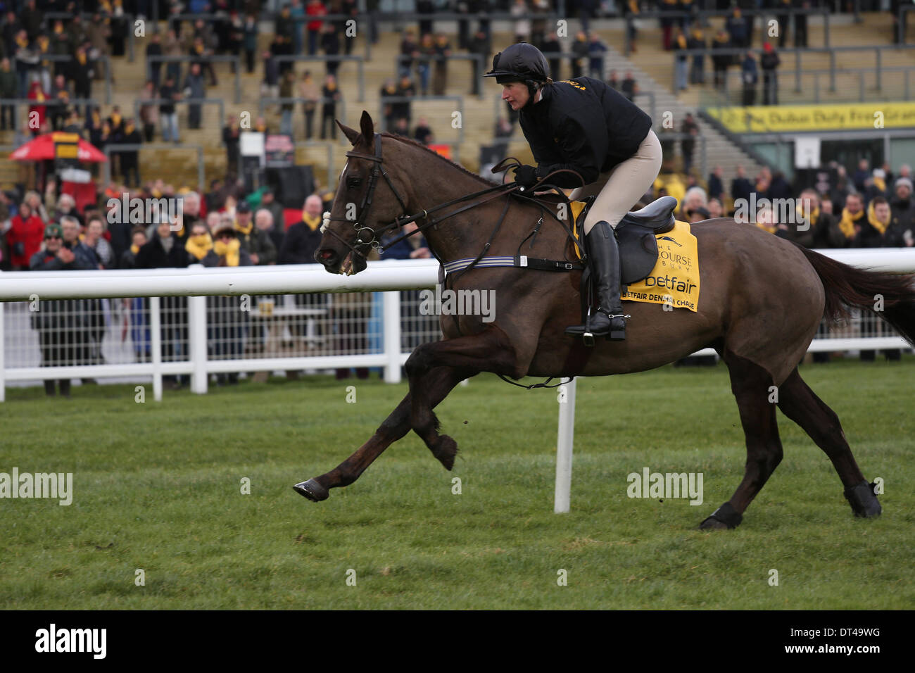 Newbury, Berkshire, UK. 08th Feb, 2014. Denman having fun before the ...