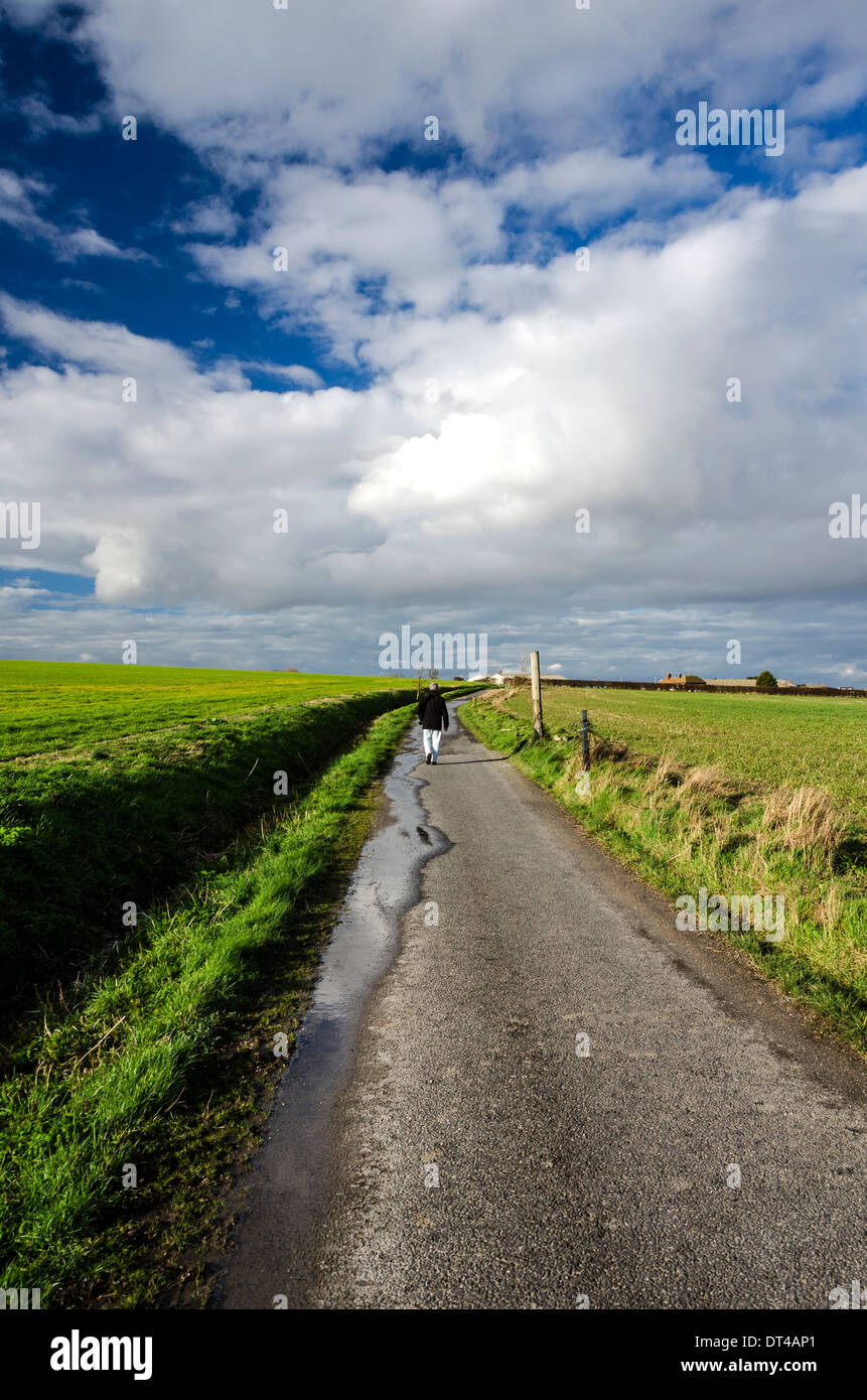 Narrow road hi-res stock photography and images - Alamy
