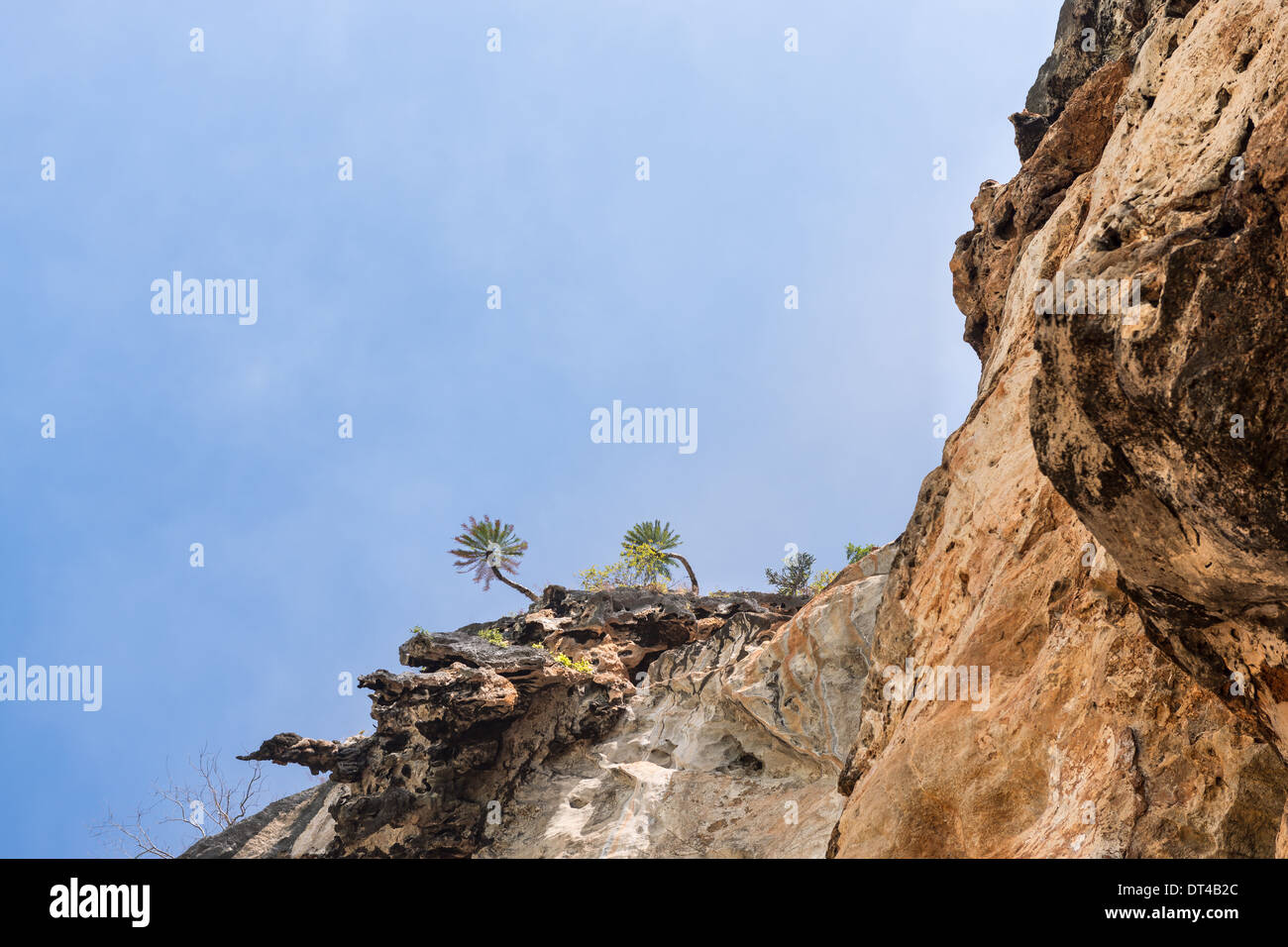 Cliff and palm trees hi-res stock photography and images - Alamy