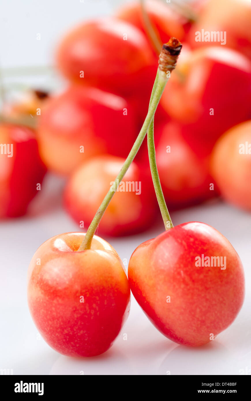 Cherry on white with fruit background Stock Photo - Alamy