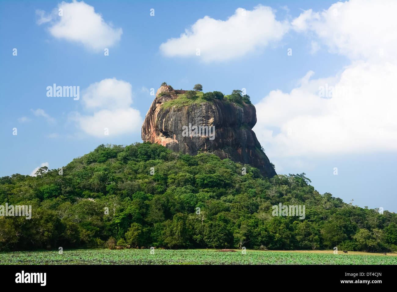 Sigiriya Ancient Rock Fortress Stock Photo - Alamy
