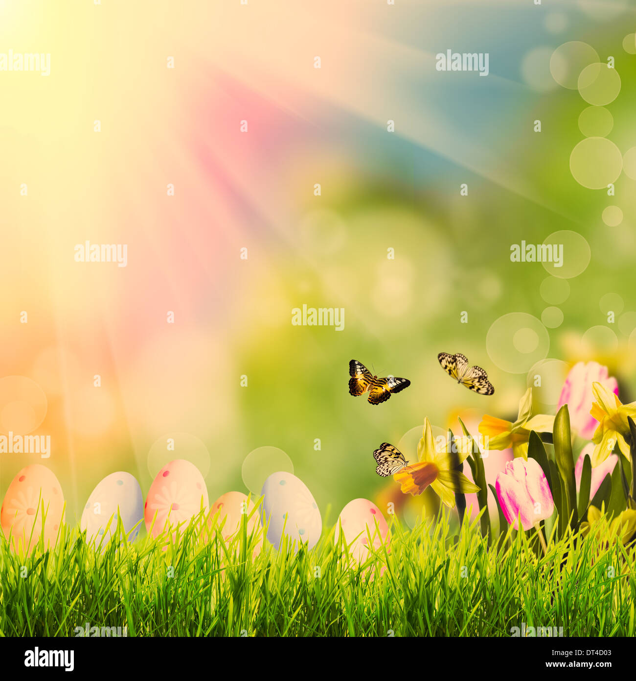 Easter greetings with grass over spring bokeh and sunlight Stock Photo ...