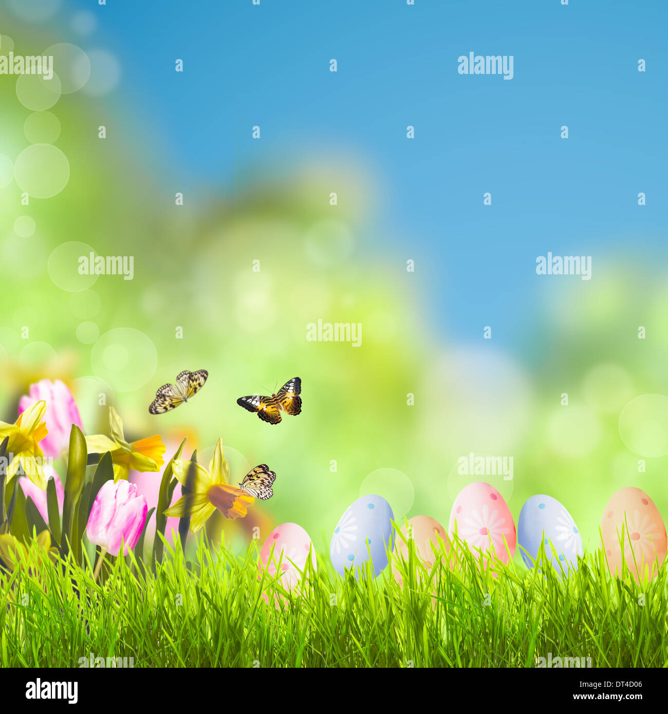 Easter greetings with grass over spring bokeh and sunlight Stock Photo ...