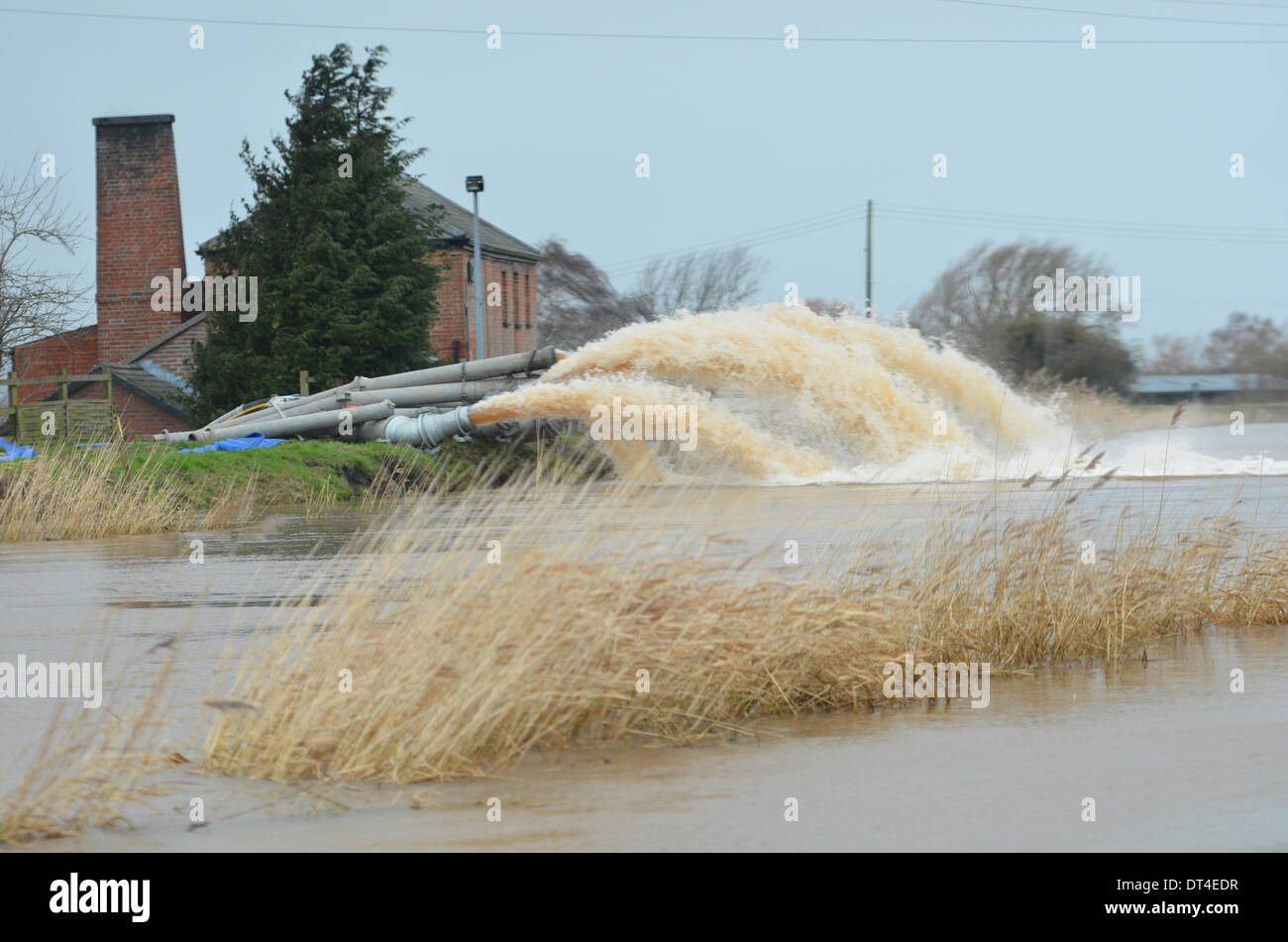 Burrowbridge, Somerset, UK. 8th February 2014. UK flooding in ...