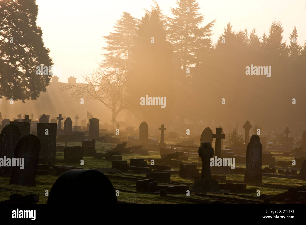 Misty morning at Wolvercote cemetery, Oxford Stock Photo - Alamy