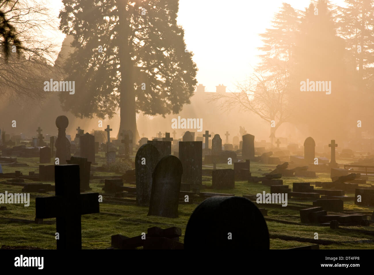 Misty morning at Wolvercote cemetery, Oxford Stock Photo - Alamy