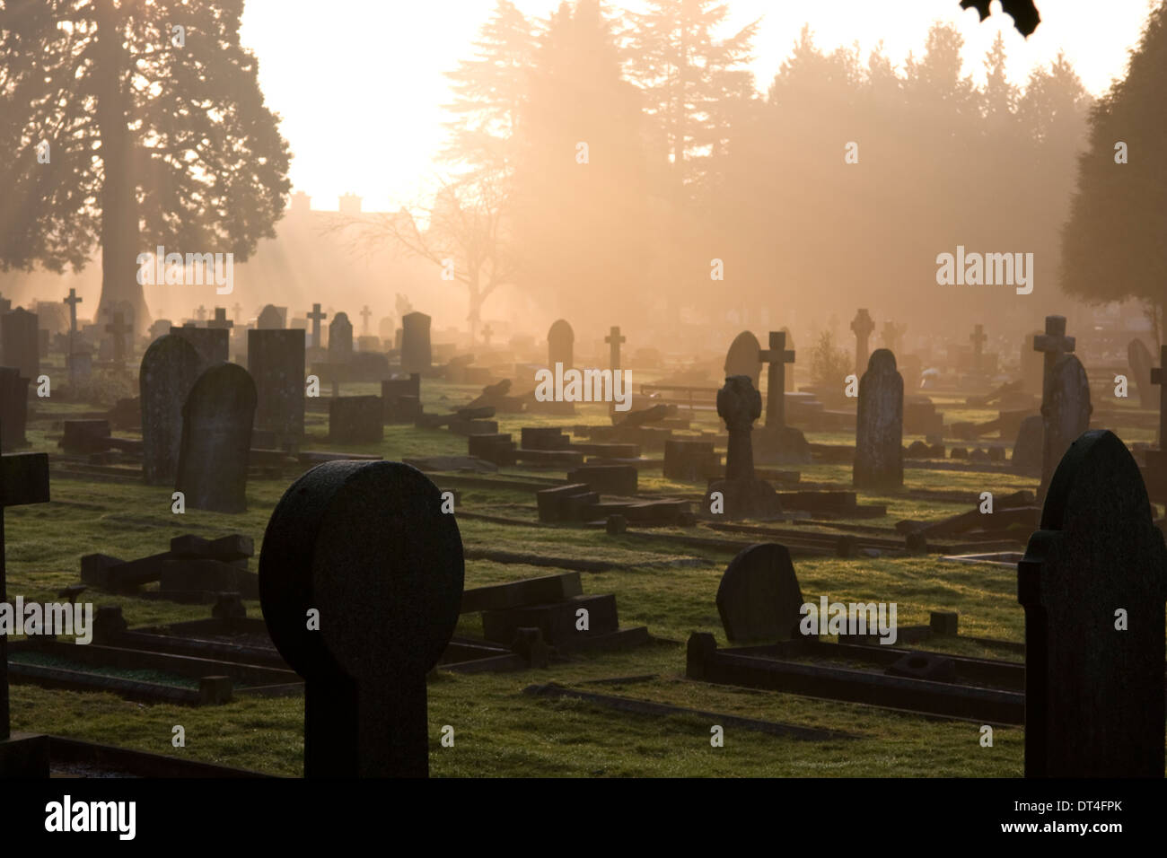 Misty morning at Wolvercote cemetery, Oxford Stock Photo - Alamy