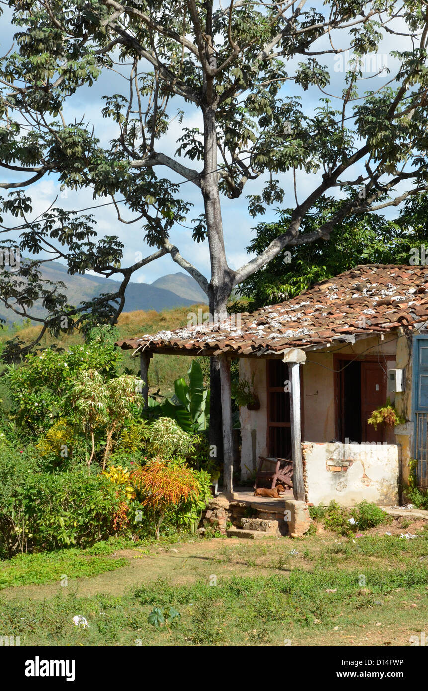 Simple shack hi-res stock photography and images - Alamy
