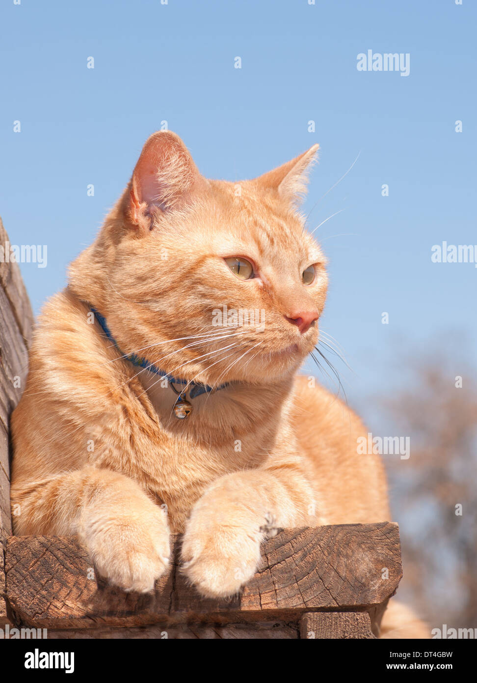 Step short hi-res stock photography and images - Alamy
