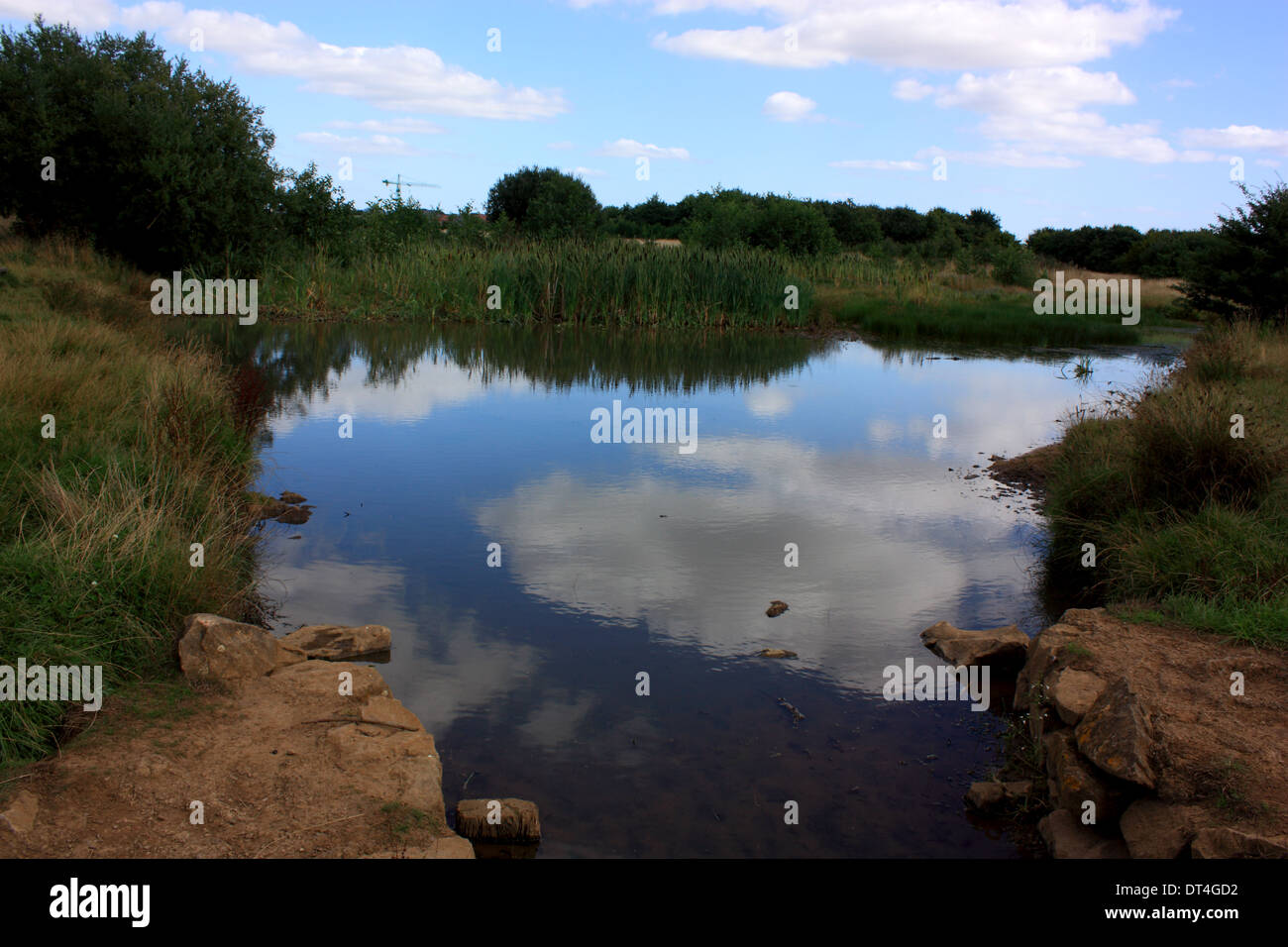 A view of a small pond on Yate common showing reflections of trees ...