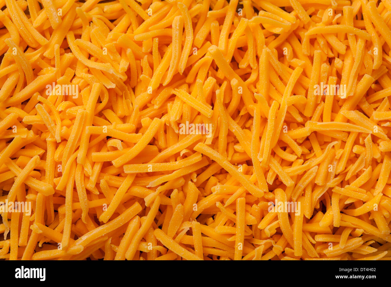 Organic Shredded Sharp Cheddar Cheese on a Cutting Board Stock Photo ...