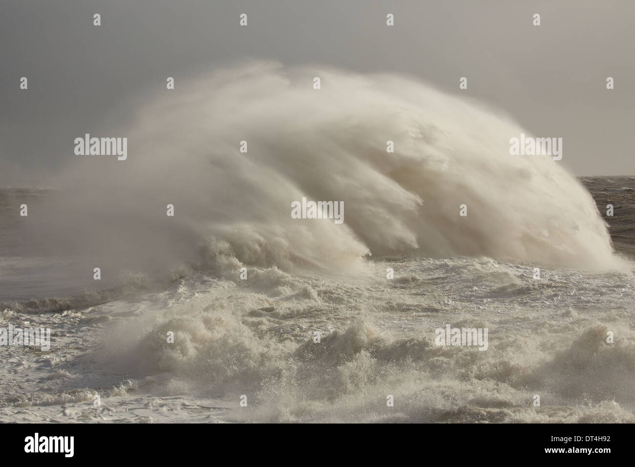 Hurricane gale force wind storm hi-res stock photography and images - Alamy