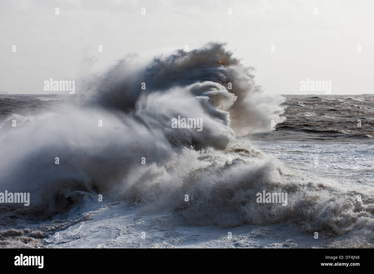 The great storm 1987 uk hi-res stock photography and images - Alamy