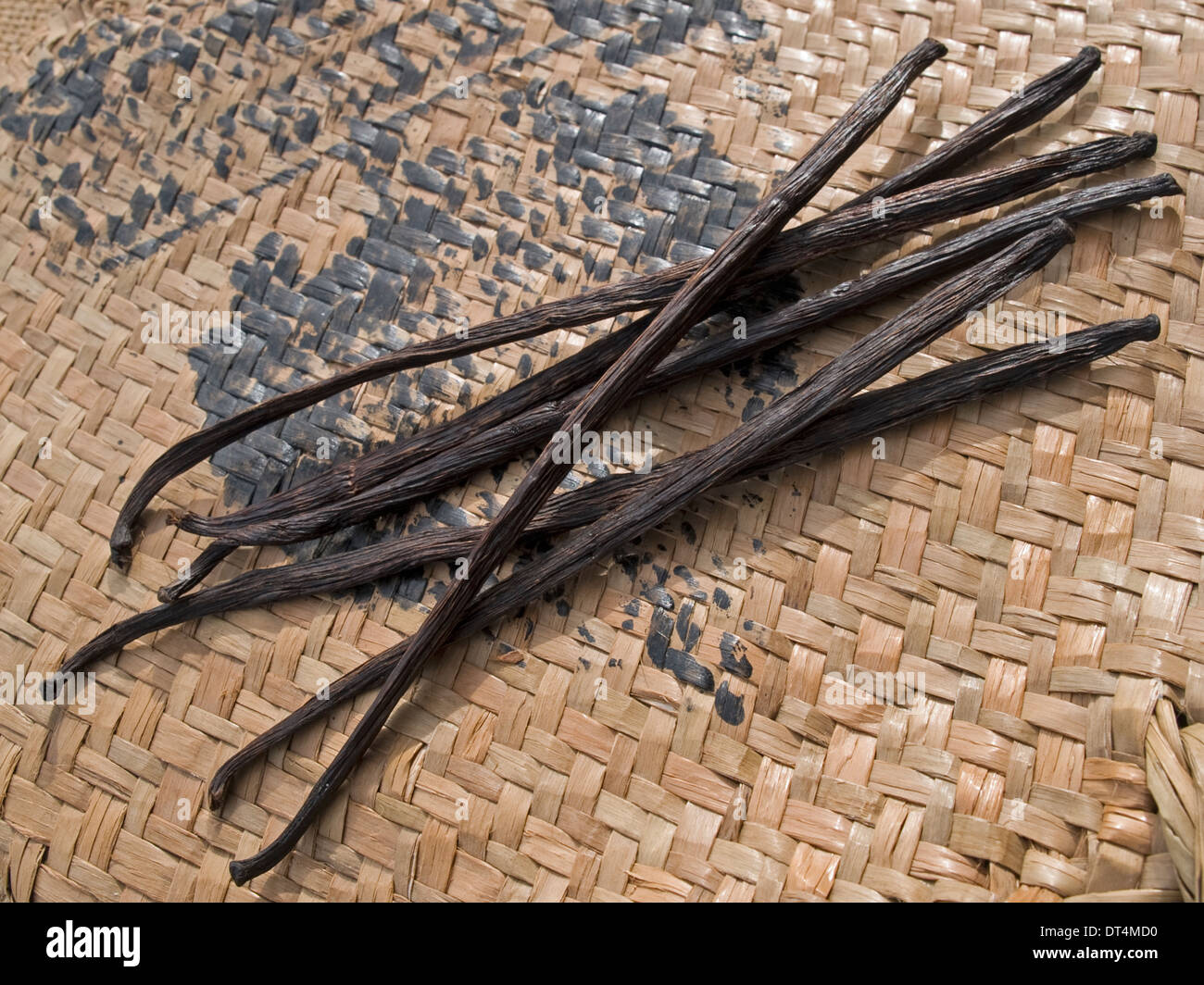 Vanilla beans plant hi-res stock photography and images - Alamy