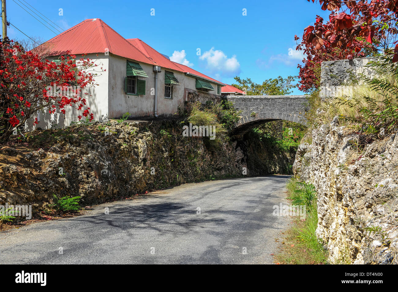 A rural scene on the Caribbean Island of Barbados Stock Photo - Alamy