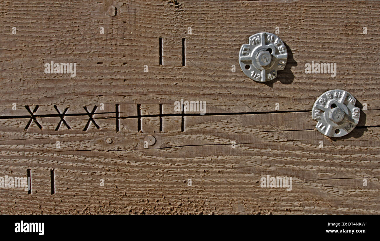 a detail of bolt-heads and carpenter's marks on the woodwork of the ...