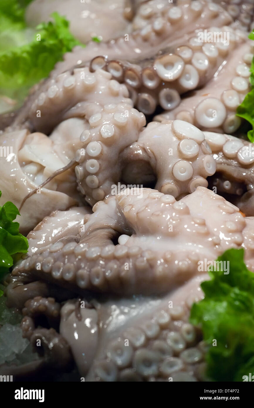closeup of big raw octopus on sea market table Stock Photo - Alamy