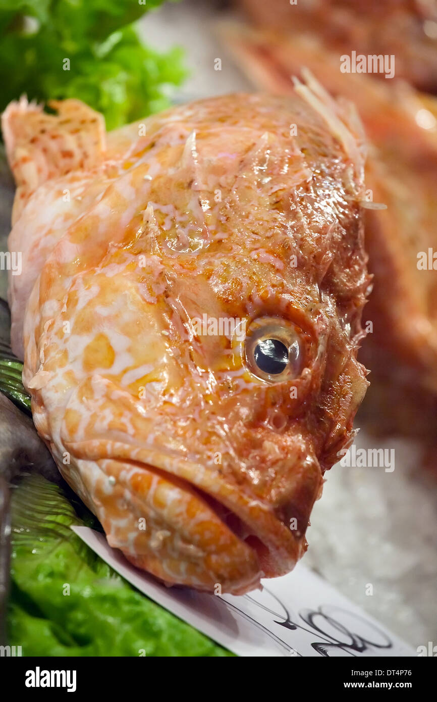 Big dinner table hi-res stock photography and images - Alamy