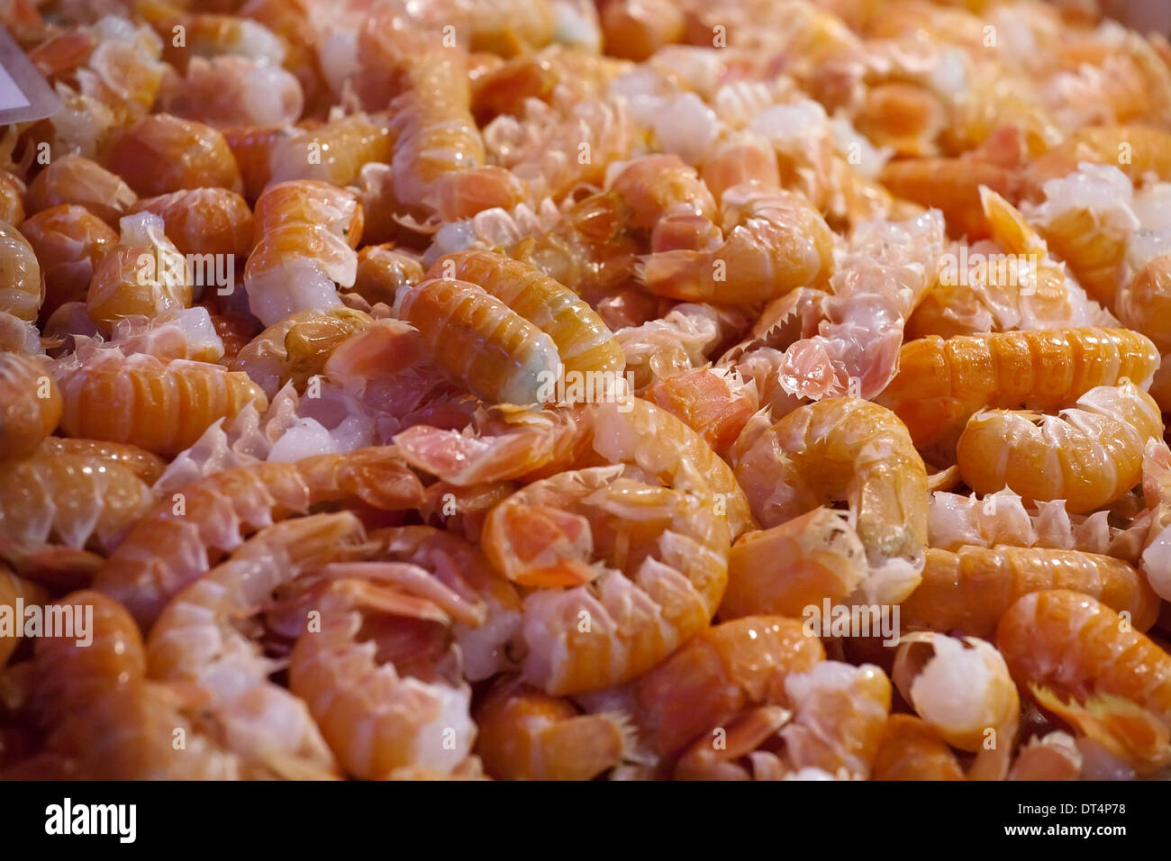 Pink Clam Meat High Resolution Stock Photography and Images - Alamy