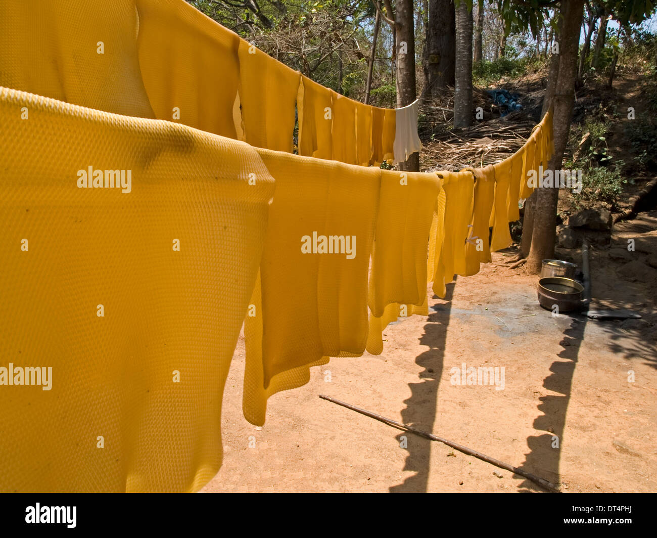 Sheets of harvested latex rubber drying on washing-lines in Tamil Nadu ...