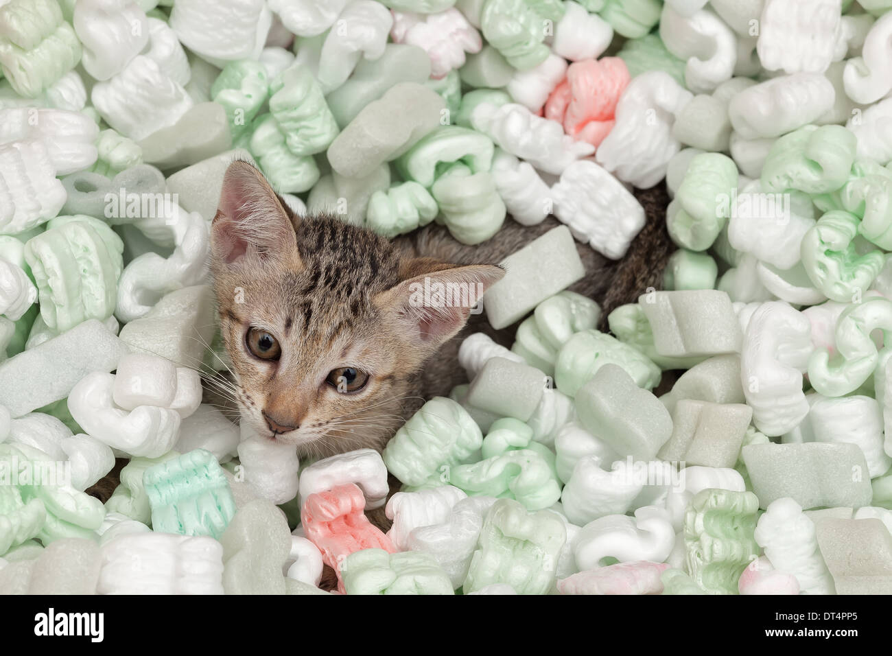 Playing in box hi-res stock photography and images - Alamy