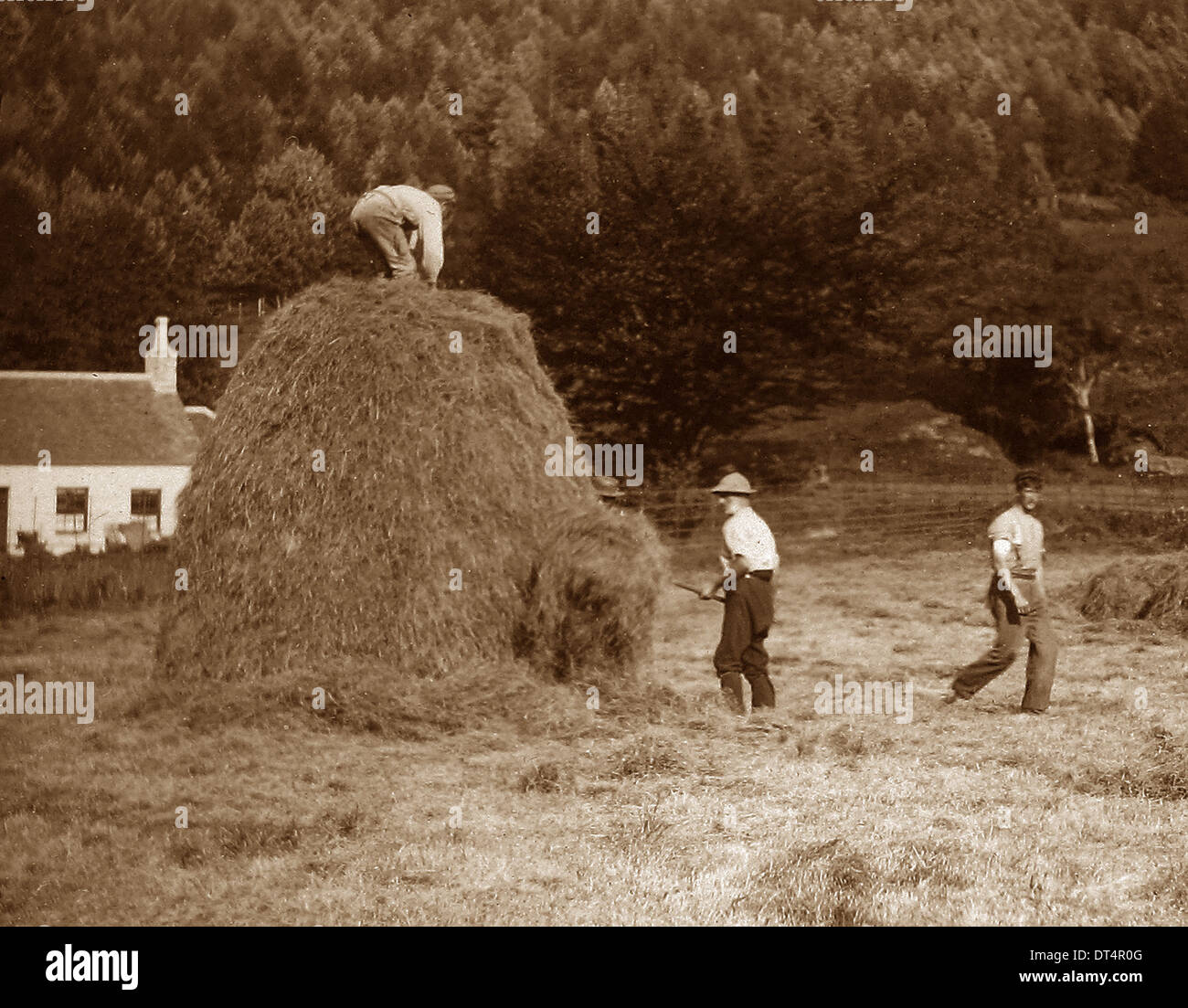 Victorian farm hi-res stock photography and images - Alamy