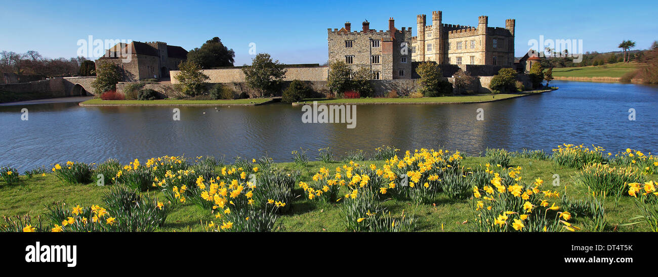 Spring Daffodil flowers at Leeds Castle Kent England UK Stock Photo - Alamy