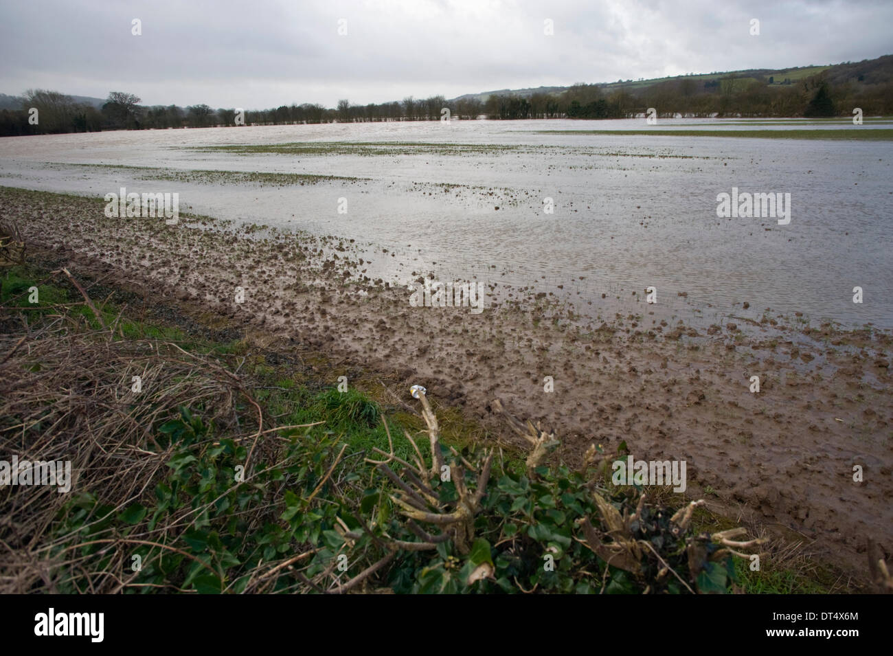 Whitney on wye toll bridge hi-res stock photography and images - Alamy