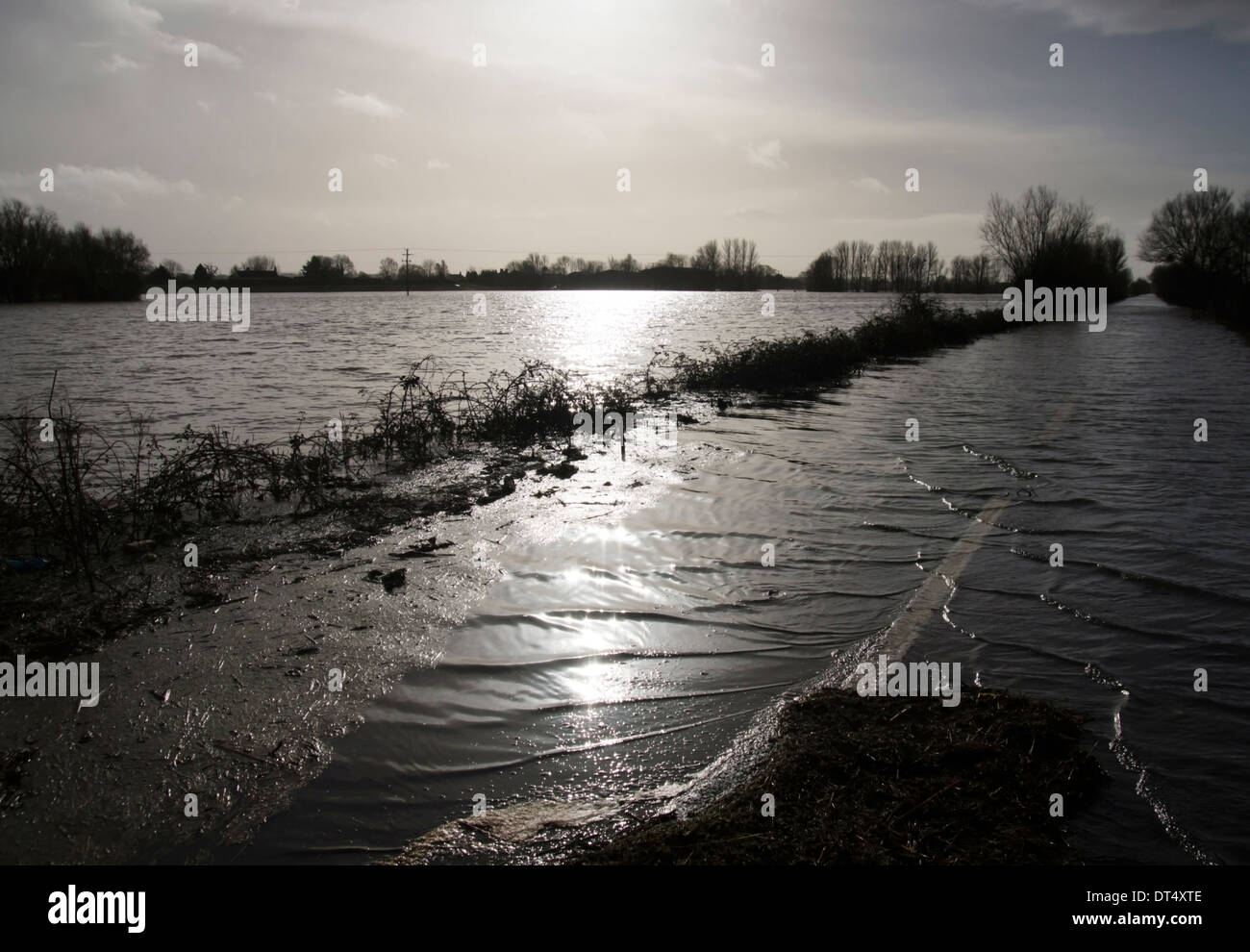 Burrowbridge Somerset England UK Floods on the Somerset Levels February ...