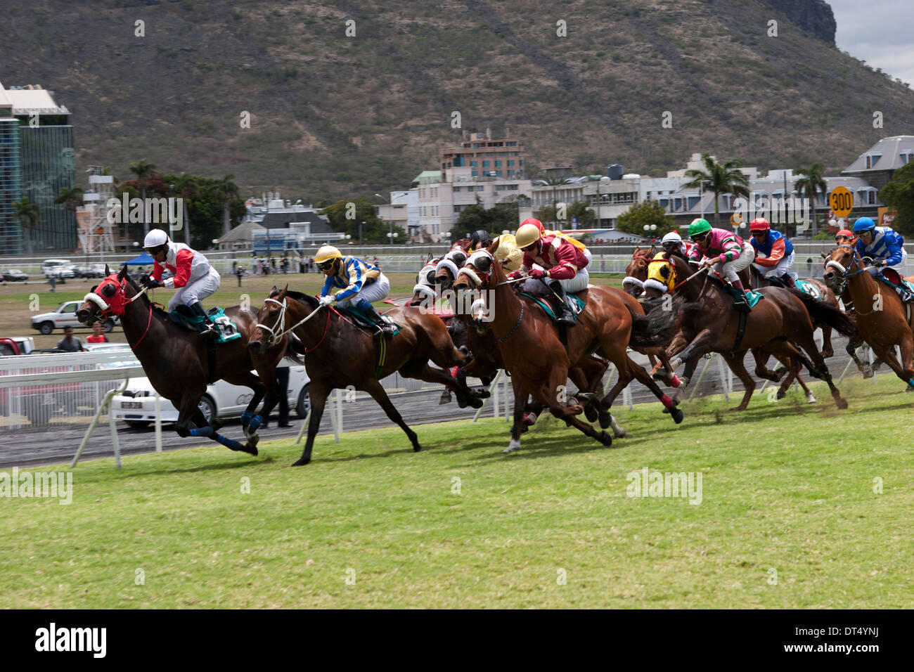 Horse racing at Champs de Mars, Port Louis, Mauritius Stock Photo - Alamy