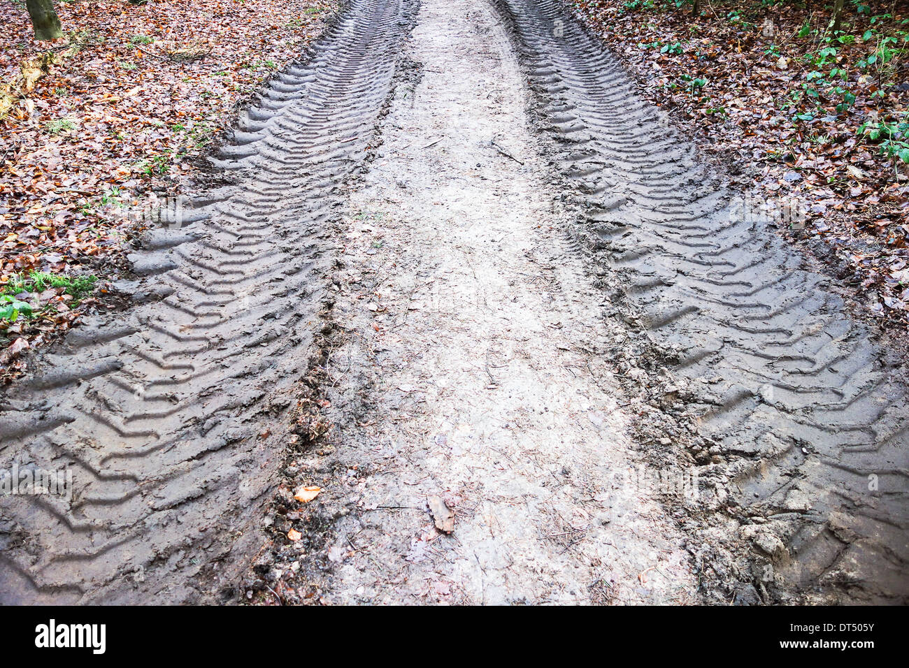 Tractor tracks in the mud Stock Photo - Alamy