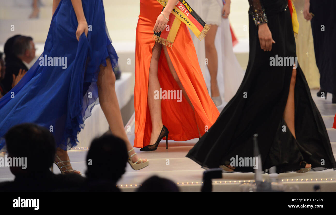 Rust, Germany. 08th Feb, 2014. Candidates for Miss Germany 2014 pose ...