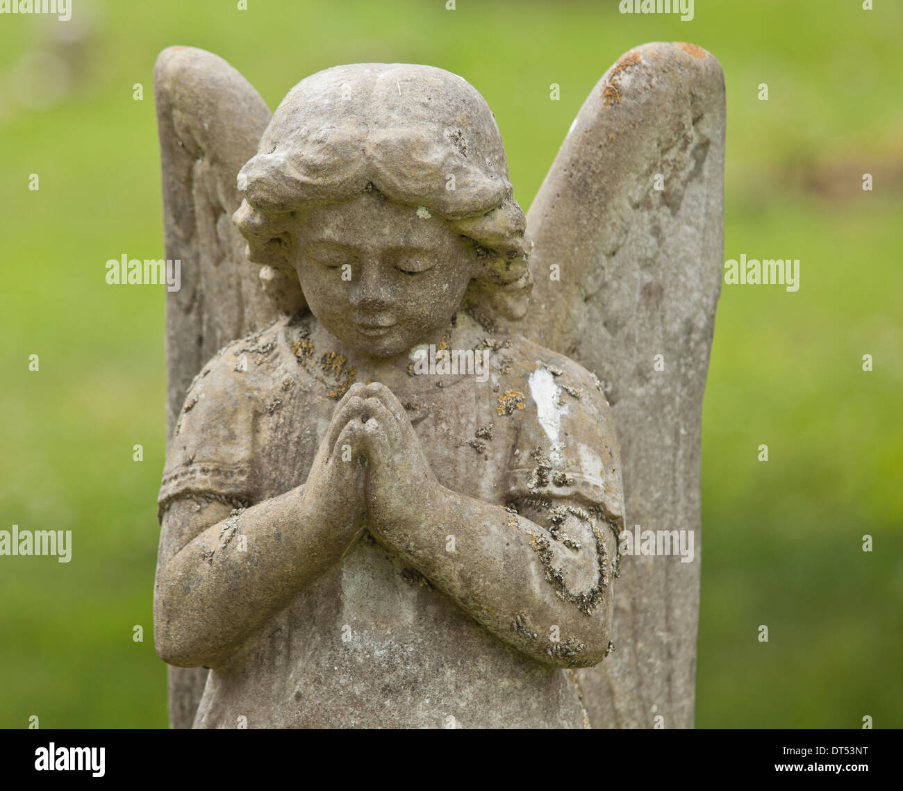 Praying hands memorial hi-res stock photography and images - Alamy