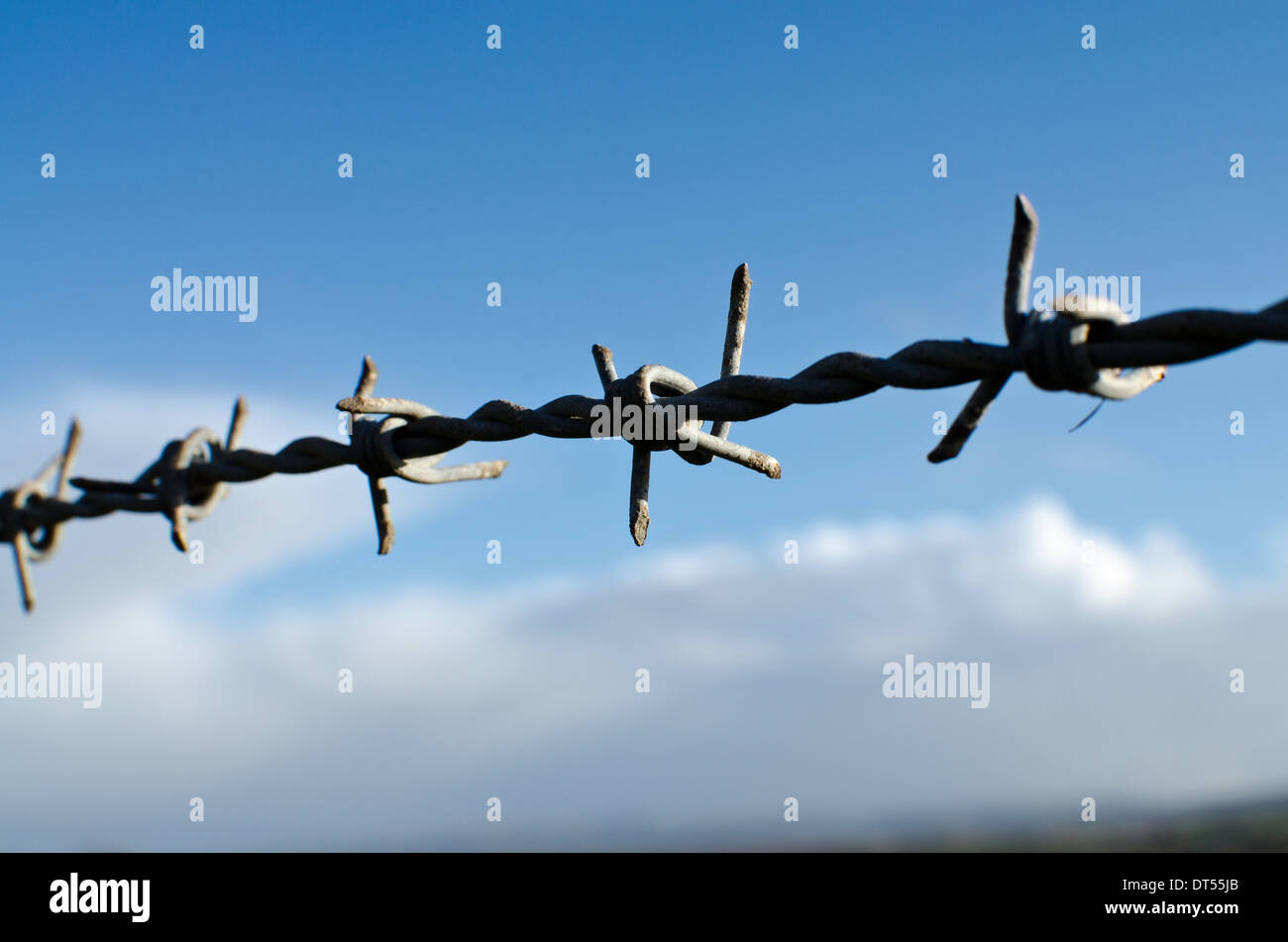 Spiky wire hi-res stock photography and images - Alamy