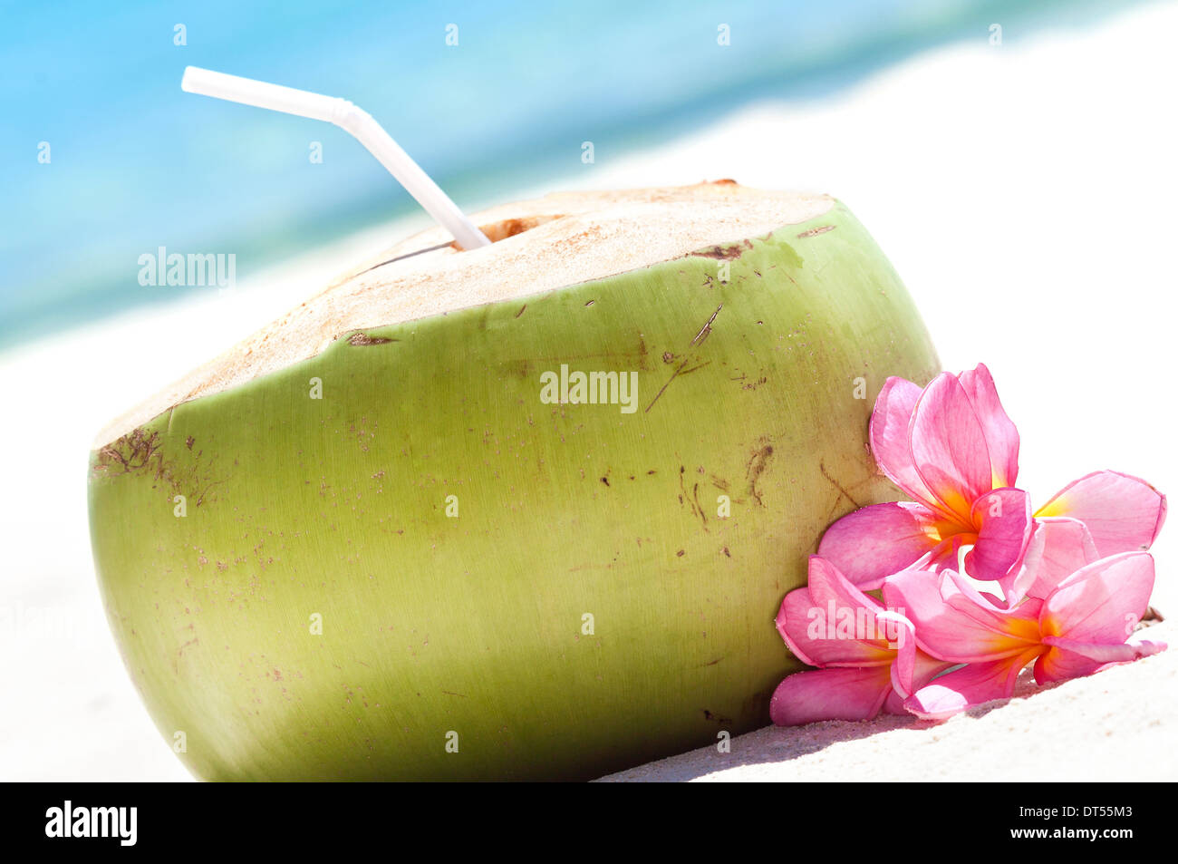 Tropical fresh coconut cocktail decorated plumeria on white beach Stock ...