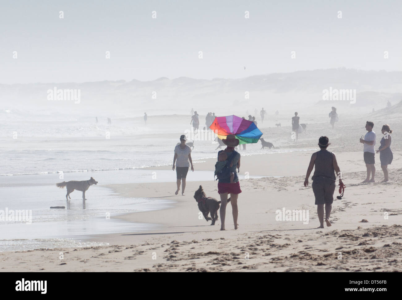 Female redhead beach hi-res stock photography and images - Alamy
