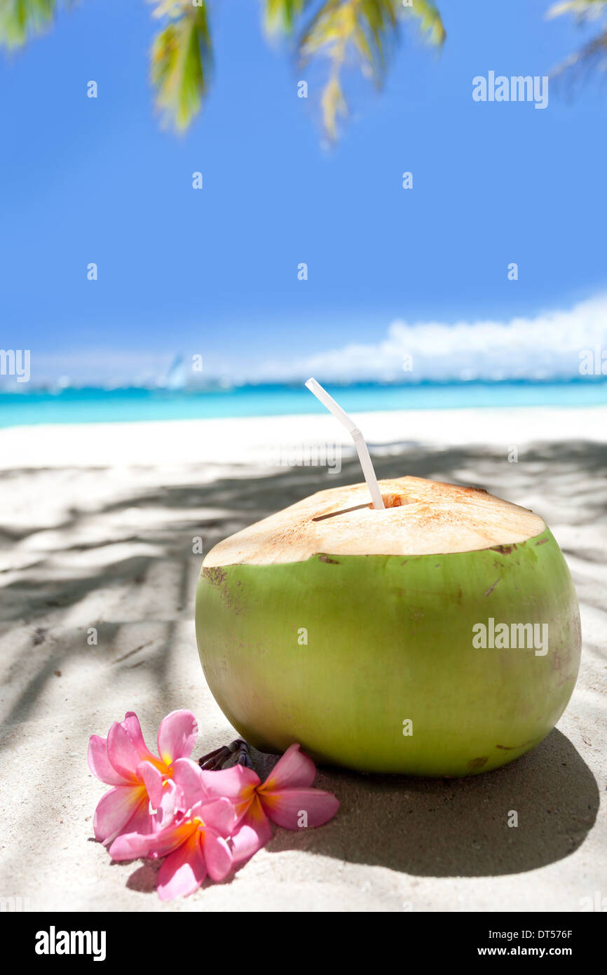Tropical fresh coconut cocktail decorated plumeria on white beach Stock ...