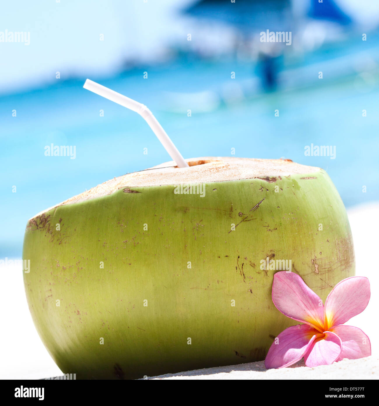 Tropical fresh coconut cocktail decorated plumeria on white beach Stock ...