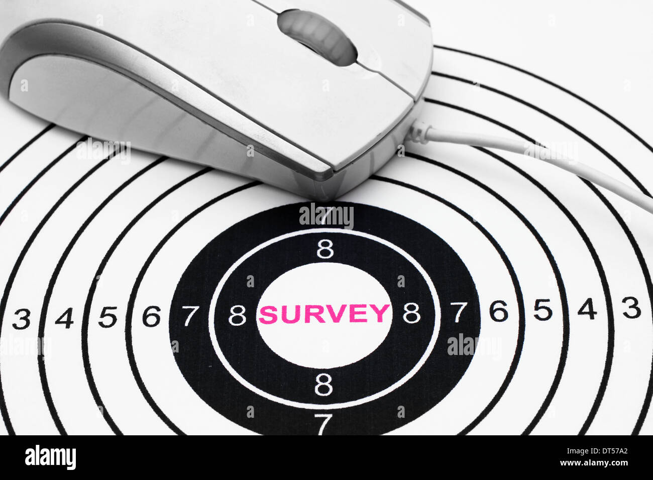 Survey text on target Stock Photo - Alamy