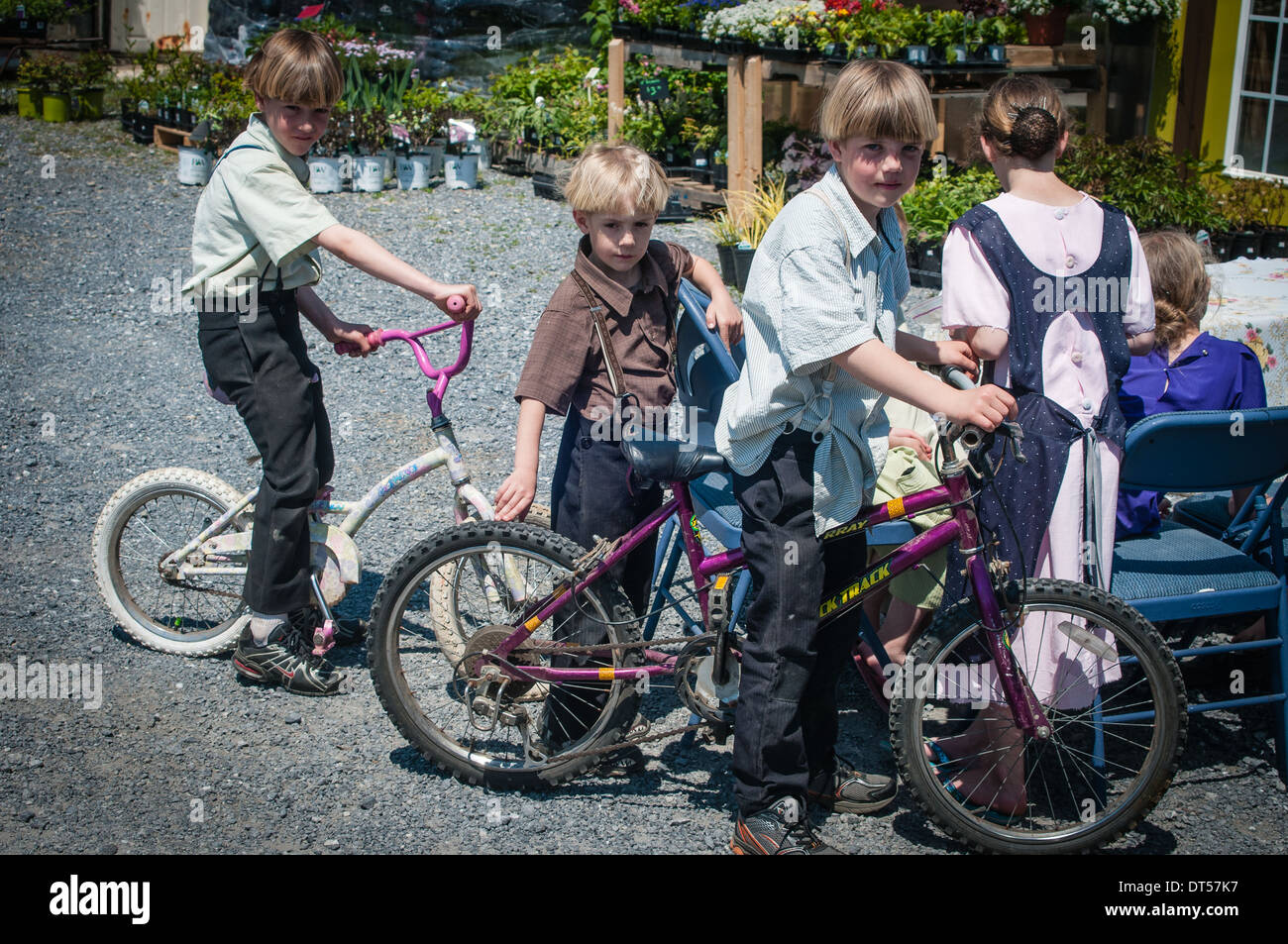 Cute amish kids hi-res stock photography and images - Alamy