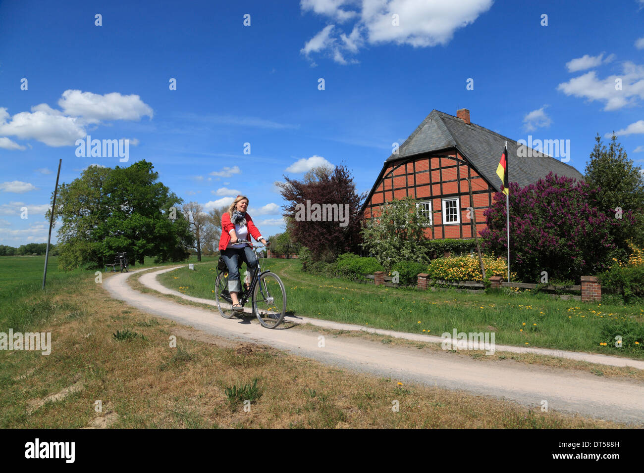 Elbe cycle route, Cyclists at Besandten near Doemitz, Brandenburg ...