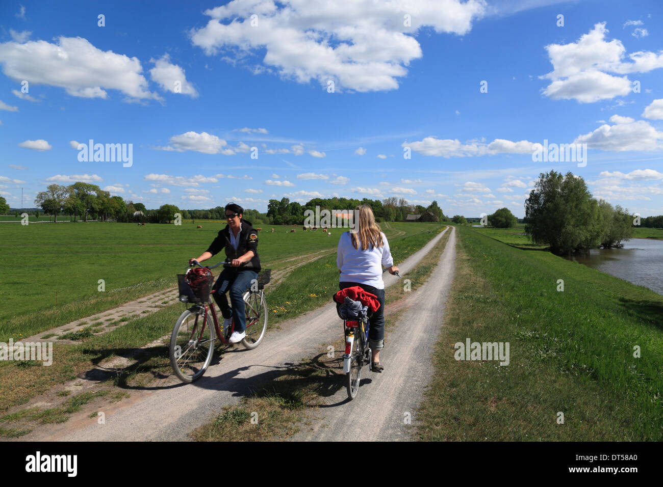 Elbe cycle route, Cyclists at Wootz near Lenzen, Brandenburg, Germany ...