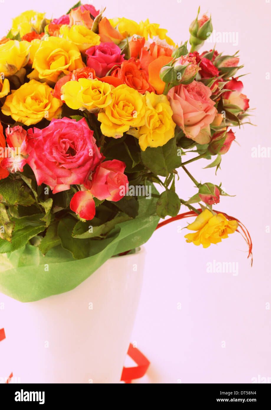 Different color roses hi-res stock photography and images - Alamy