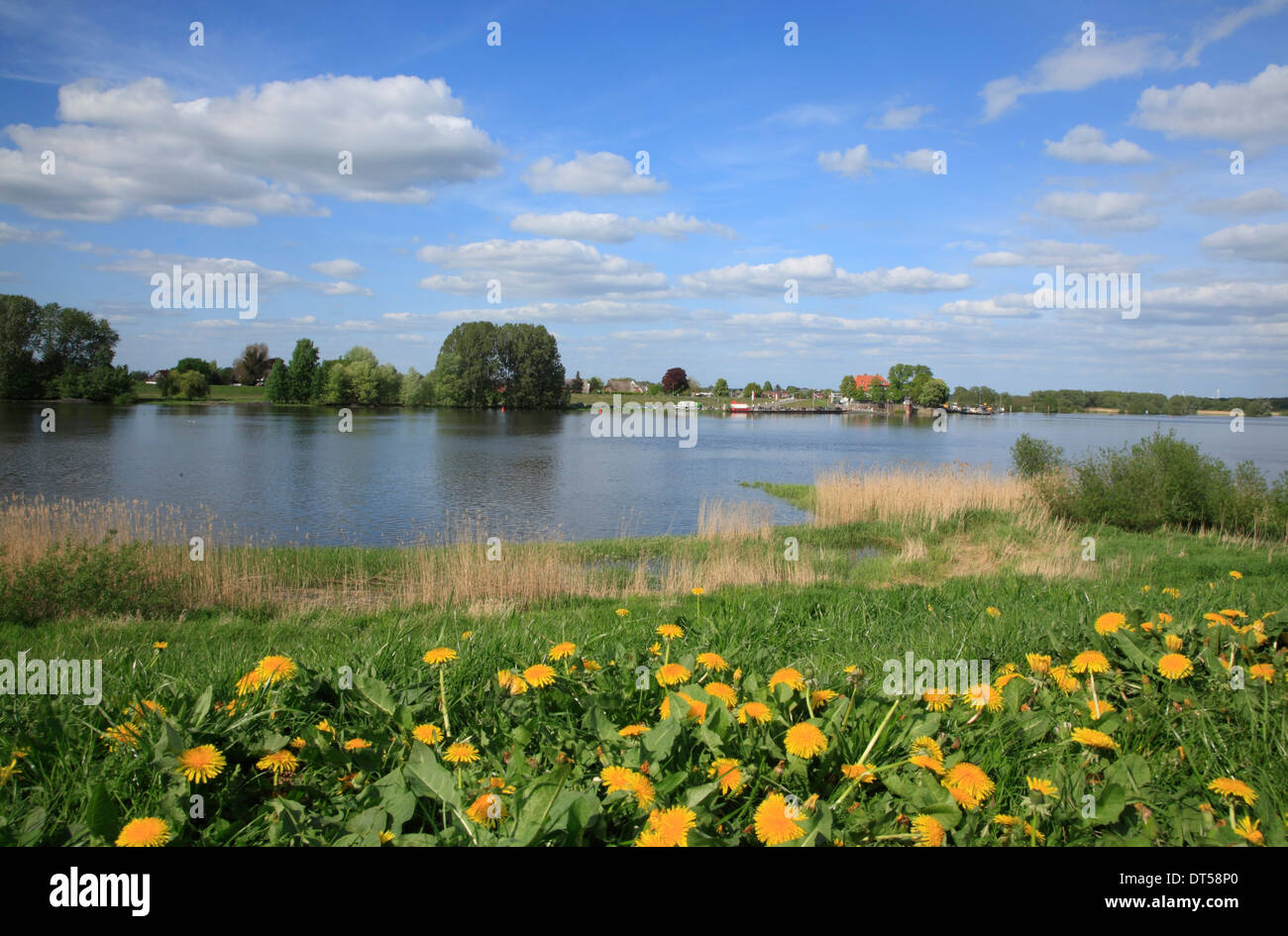 Spring at Hoopte-Zollenspieker Elbe dike, Elbe cycle path, Lower Saxony ...