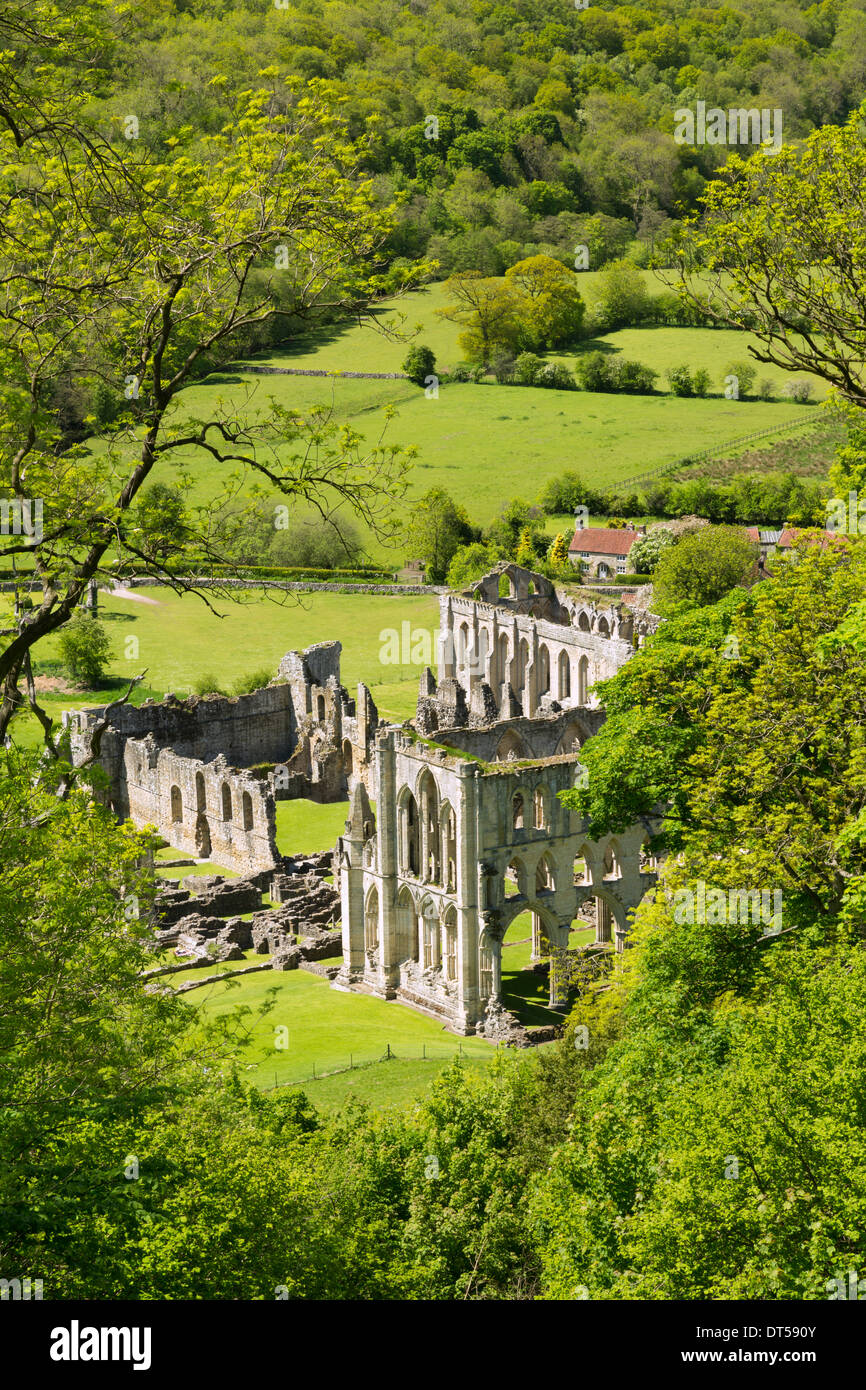 Rievaulx Abbey in Ryedale, North Yorkshire Stock Photo - Alamy