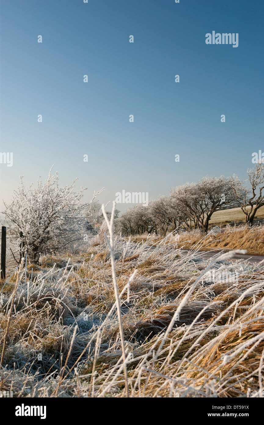 Scene from a very cold day near Croasdale, Lake district, England Stock ...