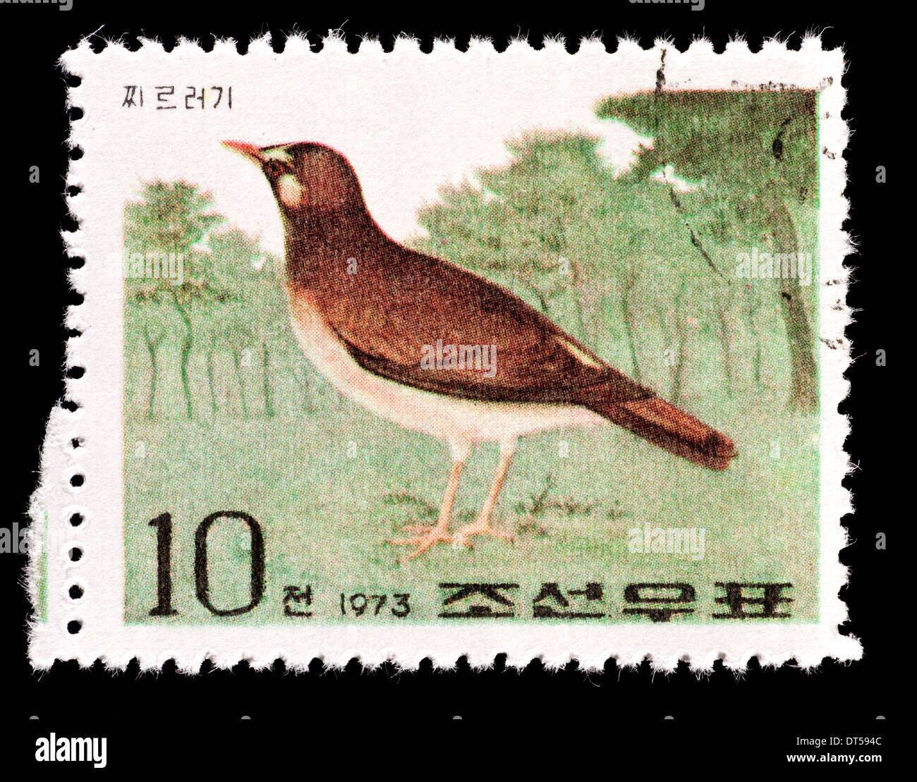 Postage stamp from North Korea depicting gray starling Stock Photo - Alamy