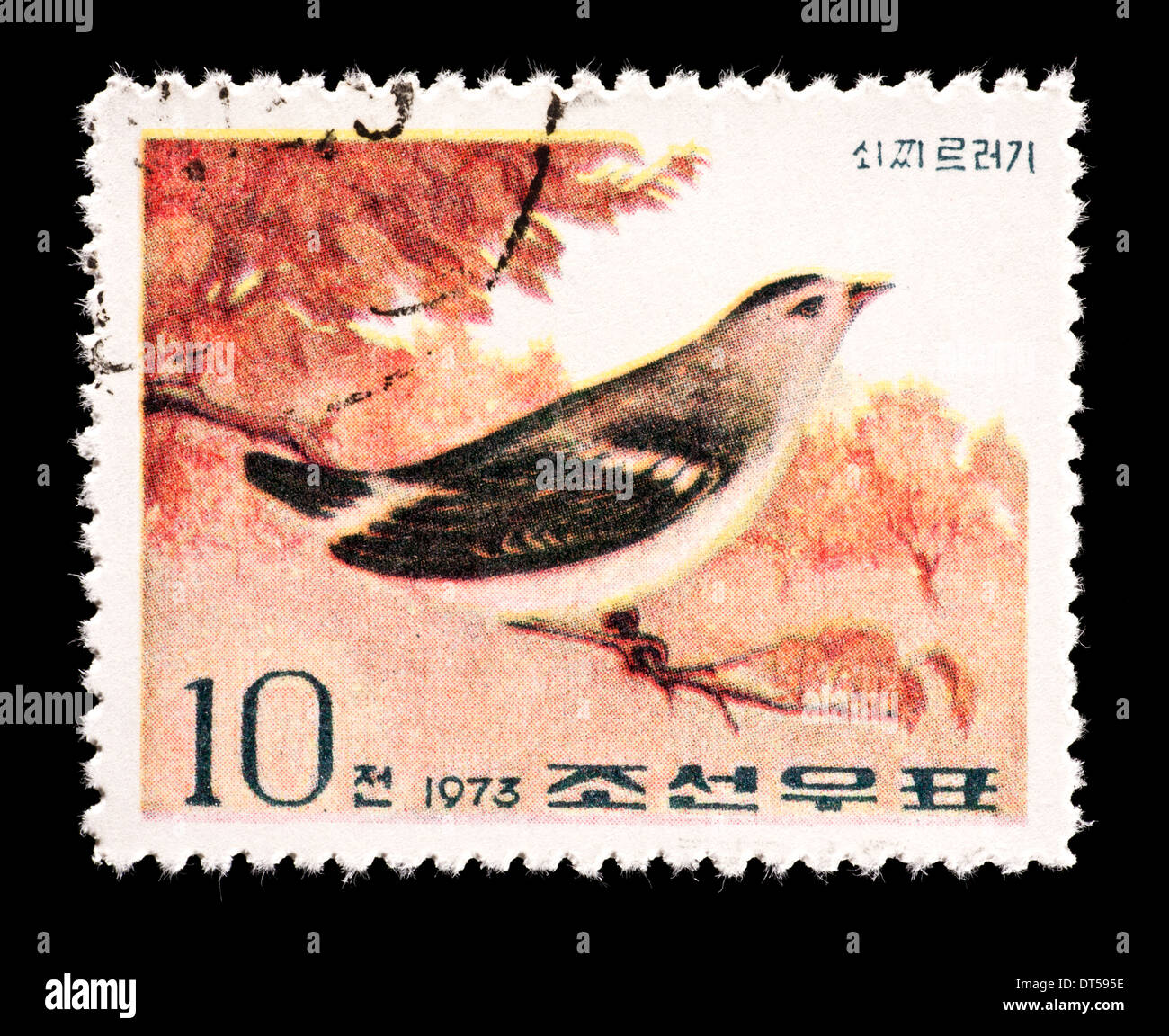 Postage stamp from North Korea depicting a Daurian starling Stock Photo ...