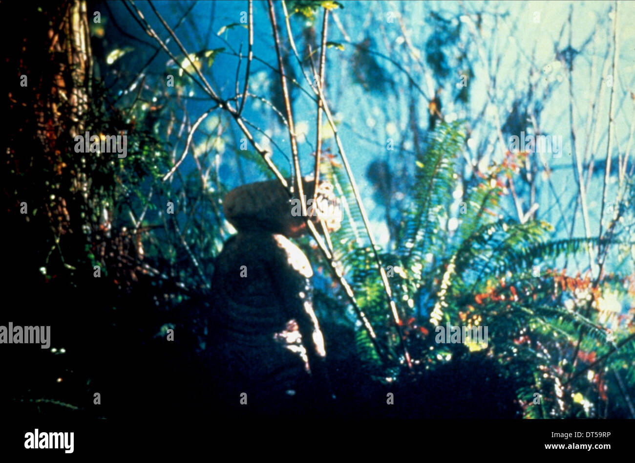 Alien E T Extra Terrestrial 1982 High Resolution Stock Photography and ...