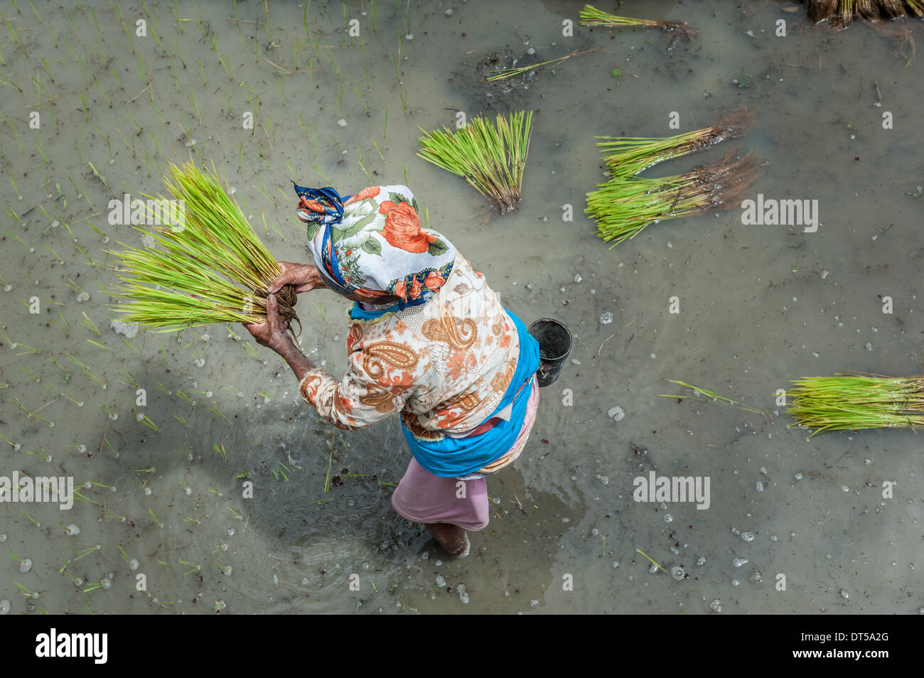 Igorot woman hi-res stock photography and images - Alamy